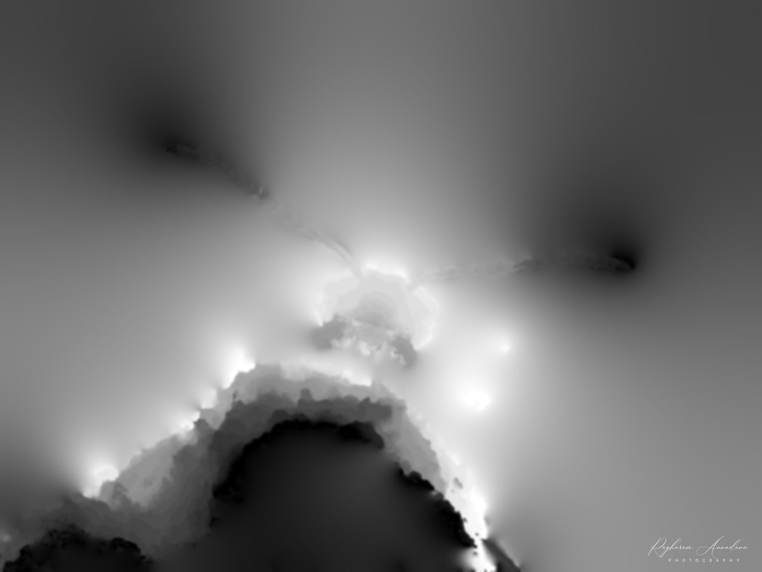 Zerene Stacker: A Guide to PMAX and DMAP | Wildlife Macro